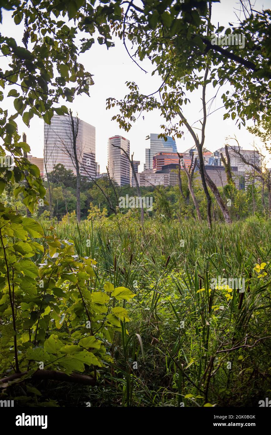View of Rosslyn in Arlington, Virginia at sunset from Roosevelt Island ...