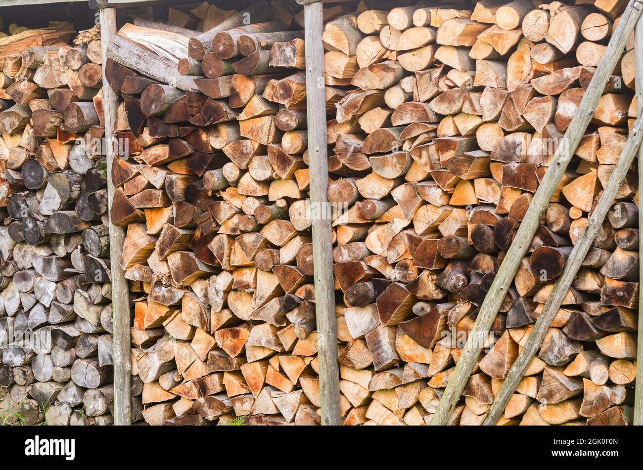 Prepared for the winter a mixture of firewood from different species of ...