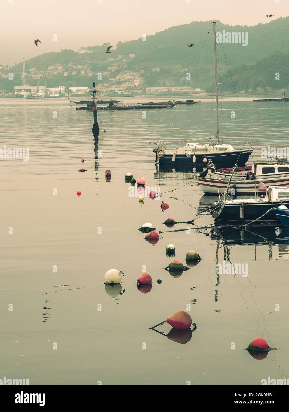 A vertical shot of small boats the harbor with a beautiful hill ...