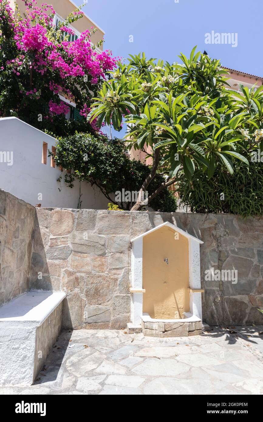 A Vertical shot of a low stony fence of a house with garden with green ...