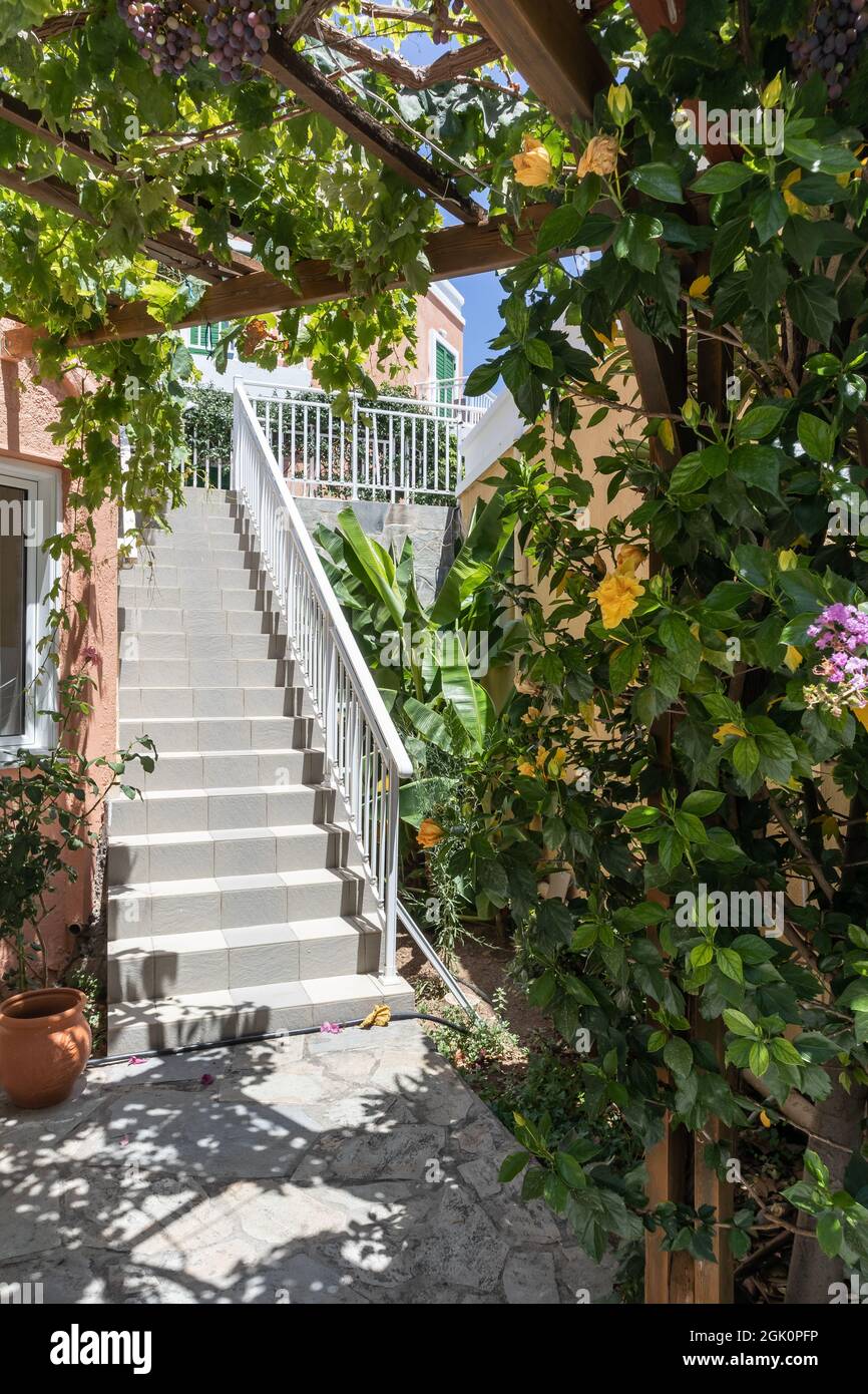 A Vertical shot of house stairs with a metal barrier and climbing tree ...