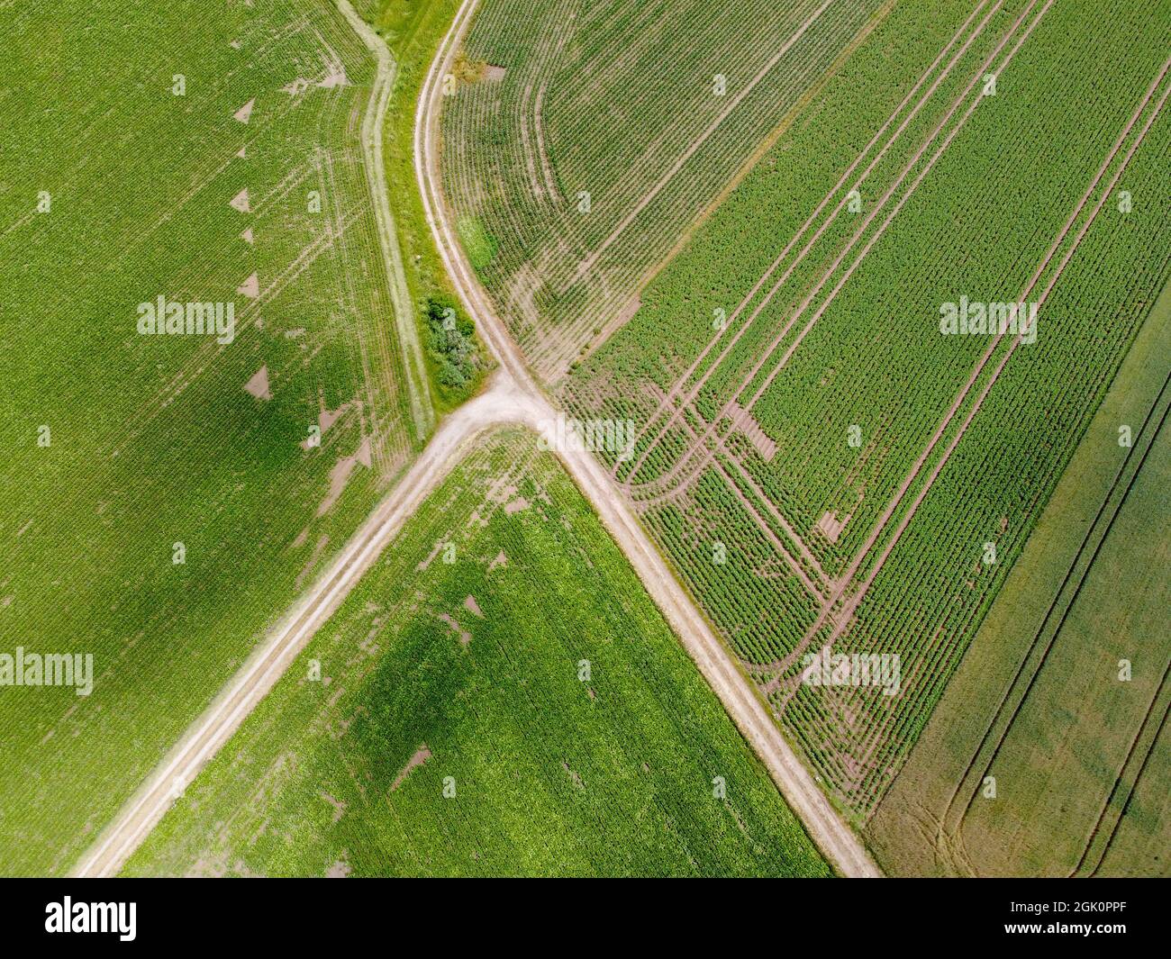 A top view shot of narrow roads in between parts of a wide grassy field ...