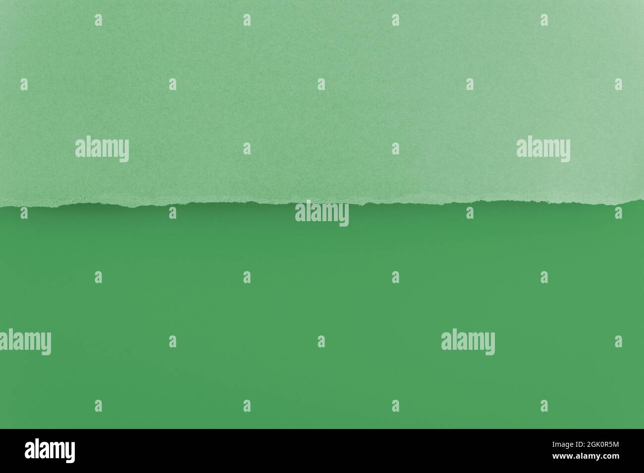 Ripped paper edge with copy space, green color background. Flat lay ...