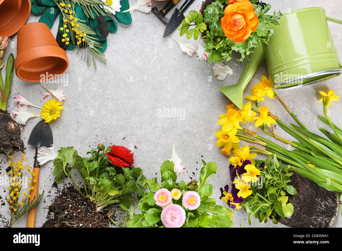 Composition with flowers and gardening tools with space for text Stock ...