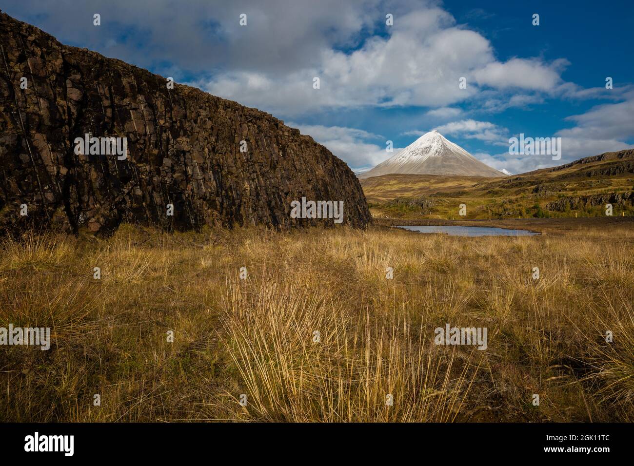 Nauer hi-res stock photography and images - Alamy