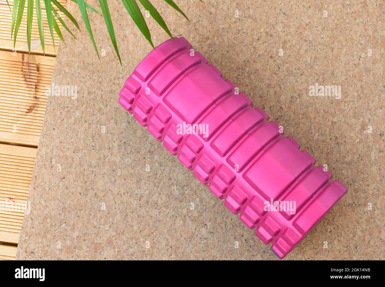 Rehabilitation roller hi-res stock photography and images - Alamy