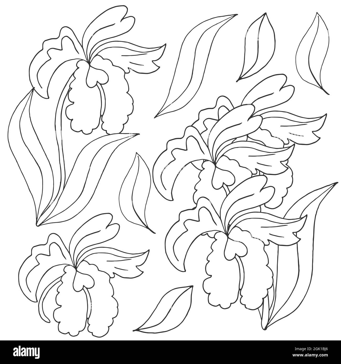 Orchids. Set of orchid. Monochrome flowers, elements. Cute flowers in ...