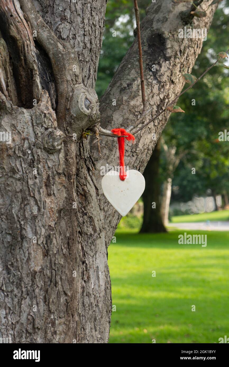 Ceramic heart hanging from a gnarly tree Stock Photo - Alamy