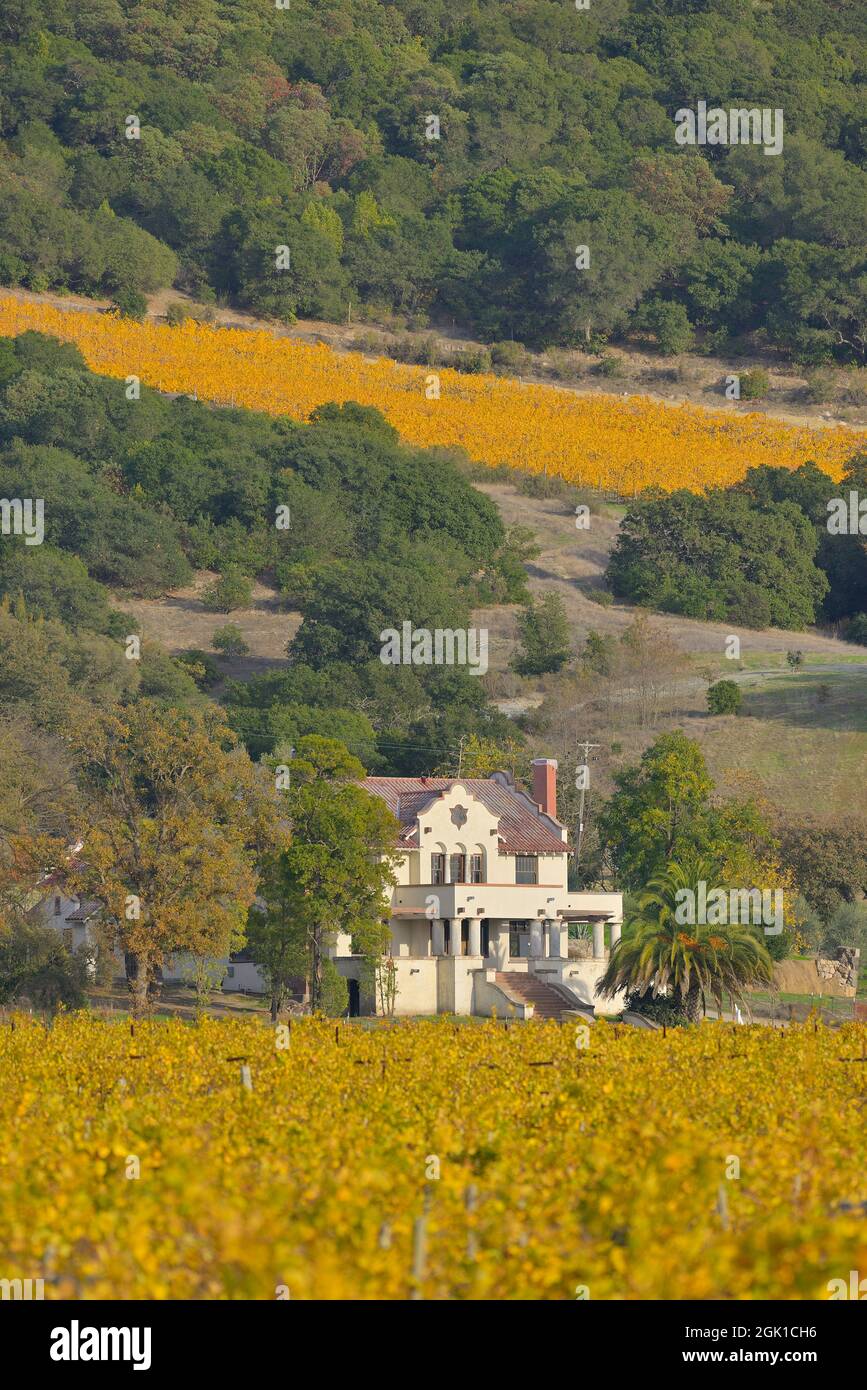 The Scribe Winery - a palm flanked Hacienda, Sonoma CA Stock Photo - Alamy