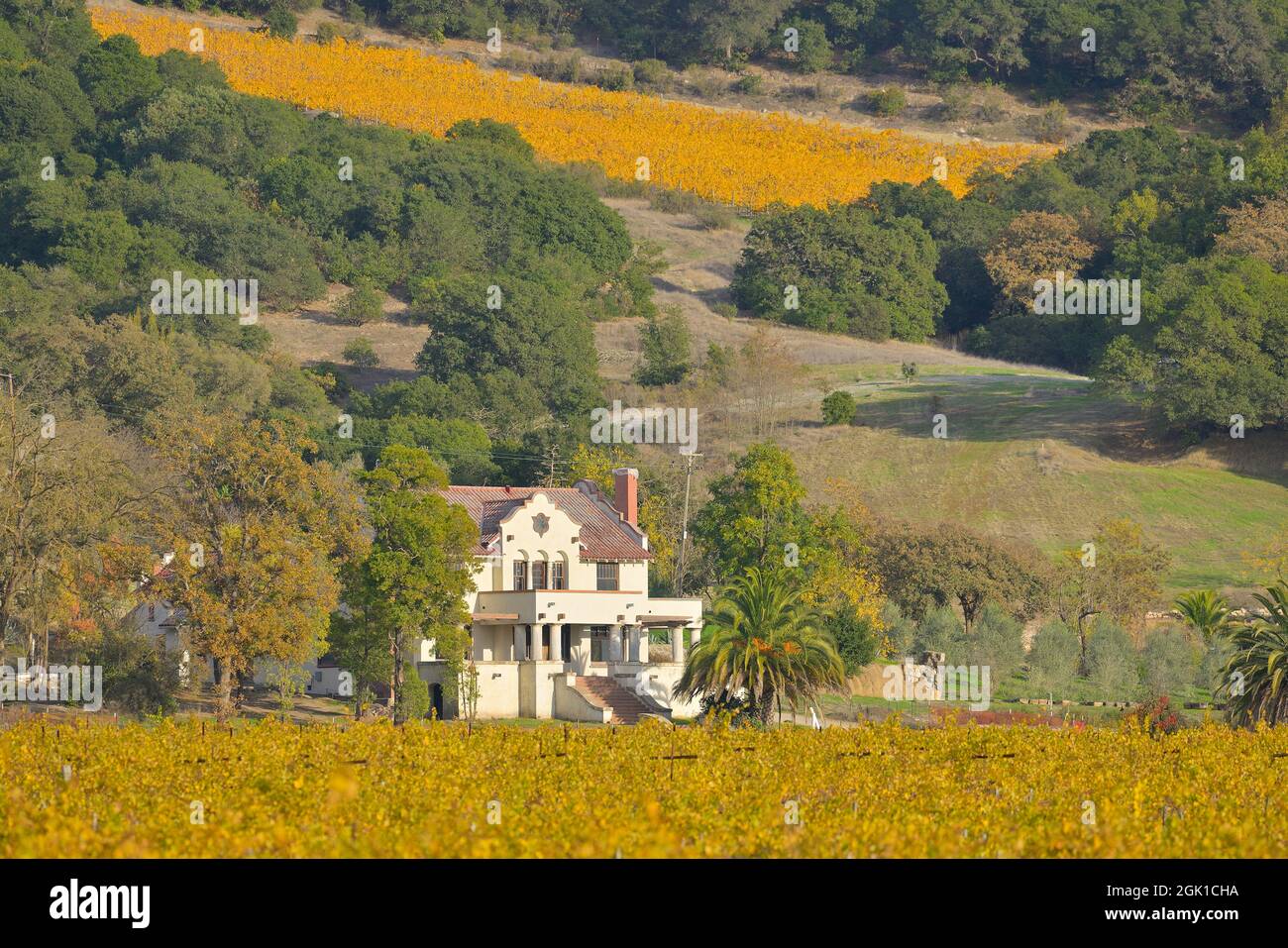 The Scribe Winery - a palm flanked Hacienda, Sonoma CA Stock Photo - Alamy