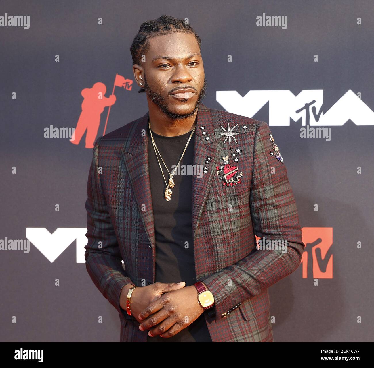 Dometi pongo hi-res stock photography and images - Alamy