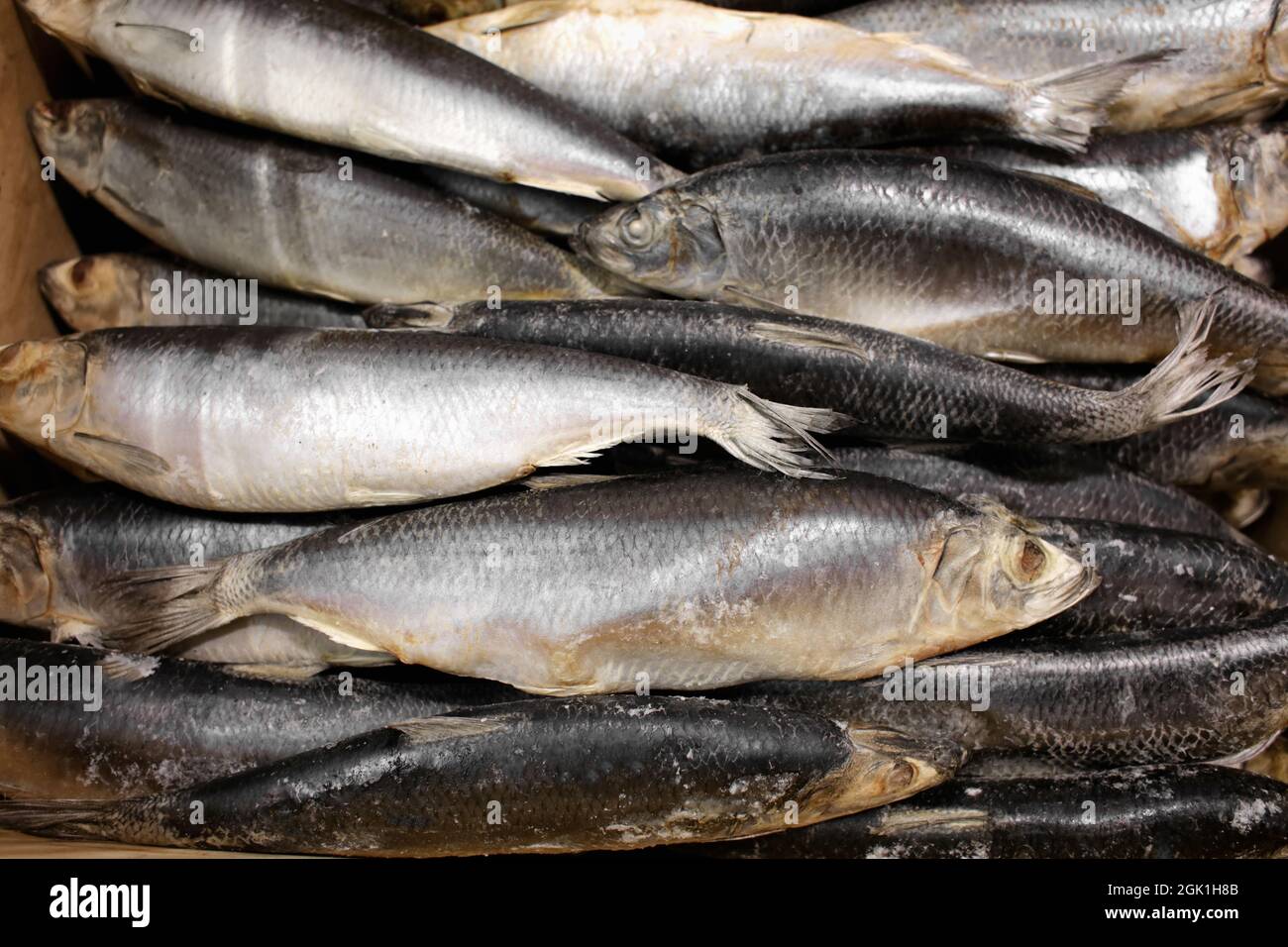 Frozen fish in supermarket Stock Photo - Alamy