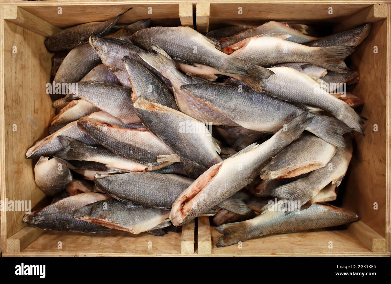 Frozen fish in supermarket Stock Photo - Alamy