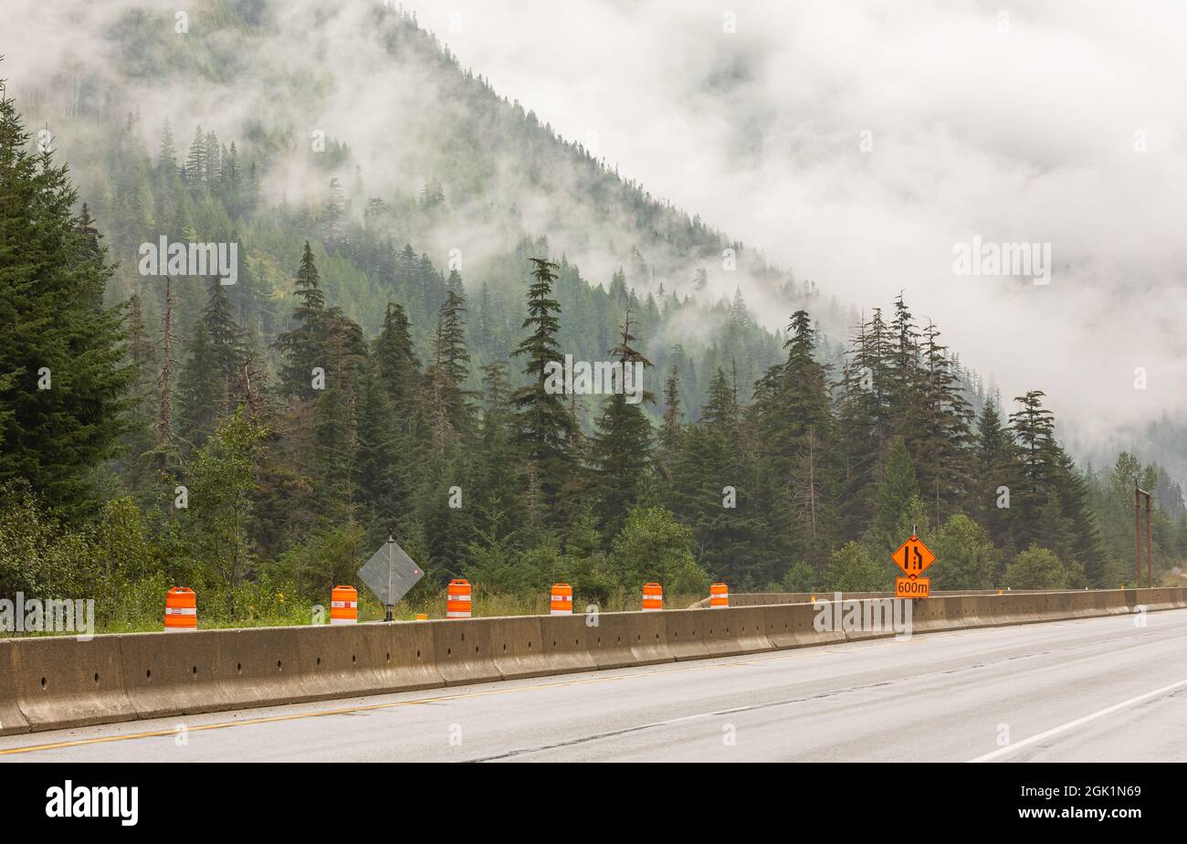 Forest fire, nature disaster. Smoke comes up from a forest fire on ...