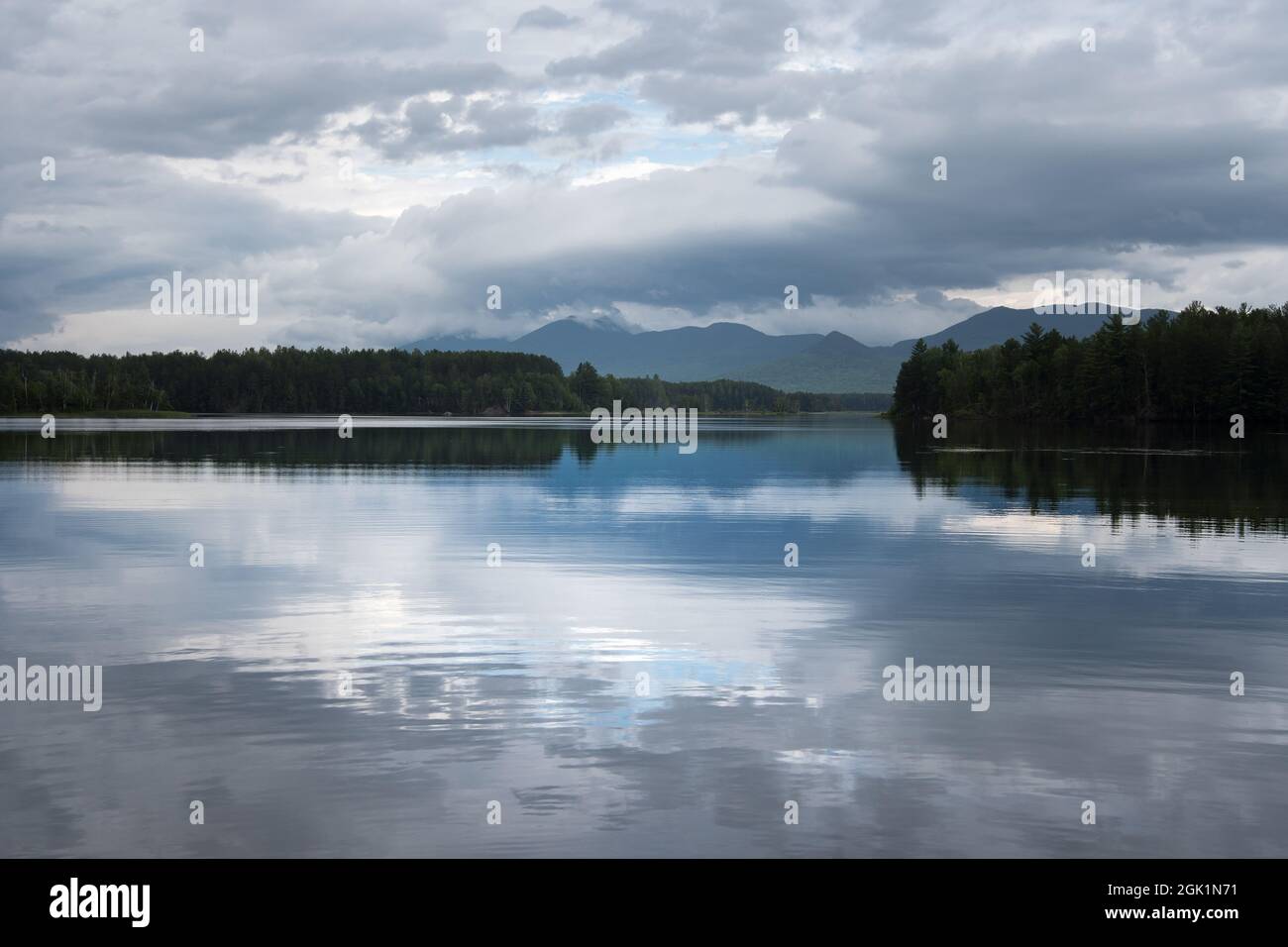 Cinematic view of a forest and a lake with a full mirror reflection in ...