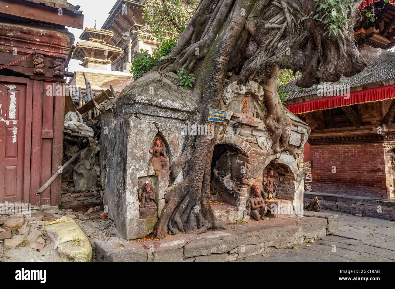 Tree roots growing from a small Hindu shrine in Kathmandu, Nepal Stock ...