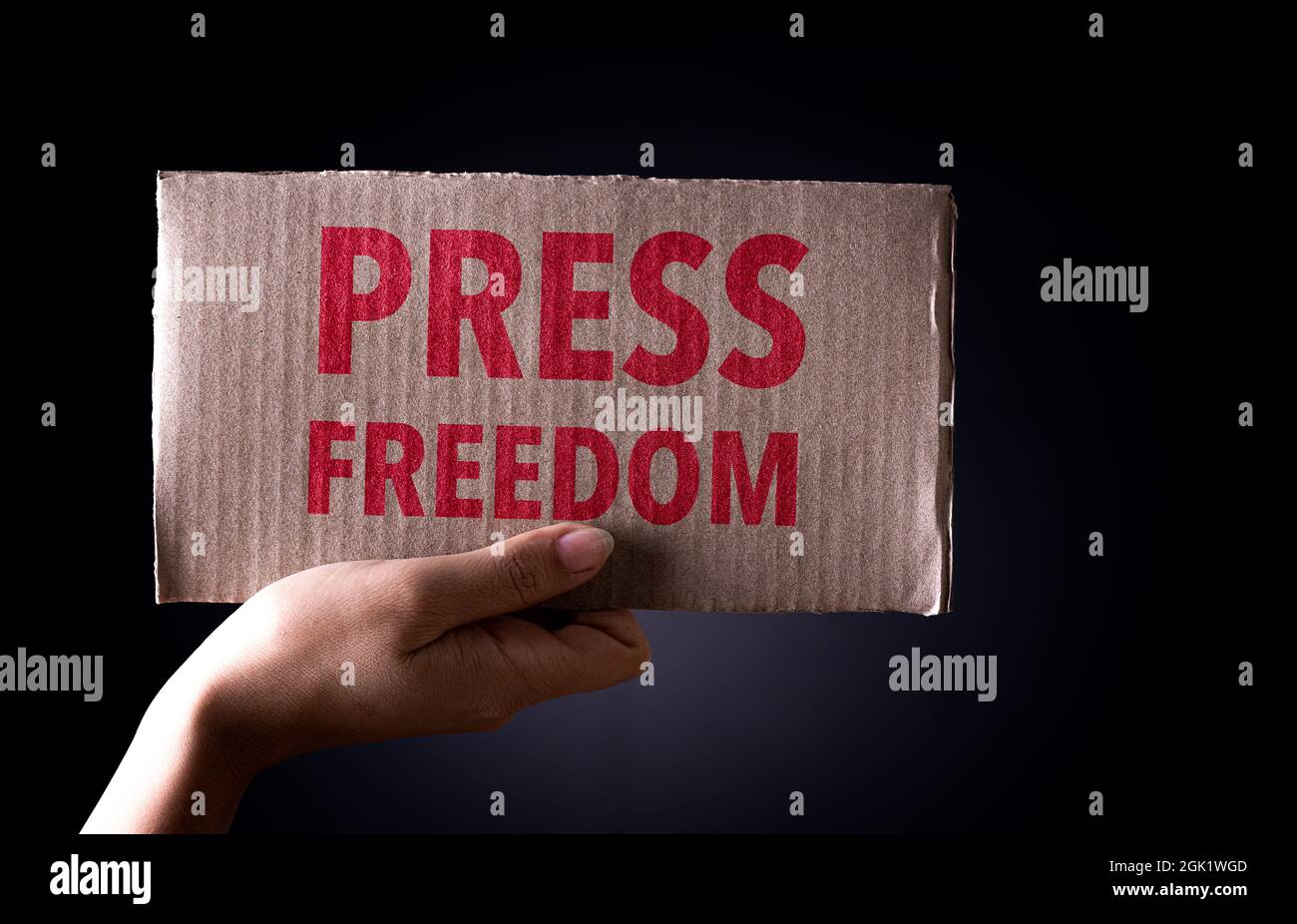 World press freedom day concept. Hand holding cardboard paper with the ...