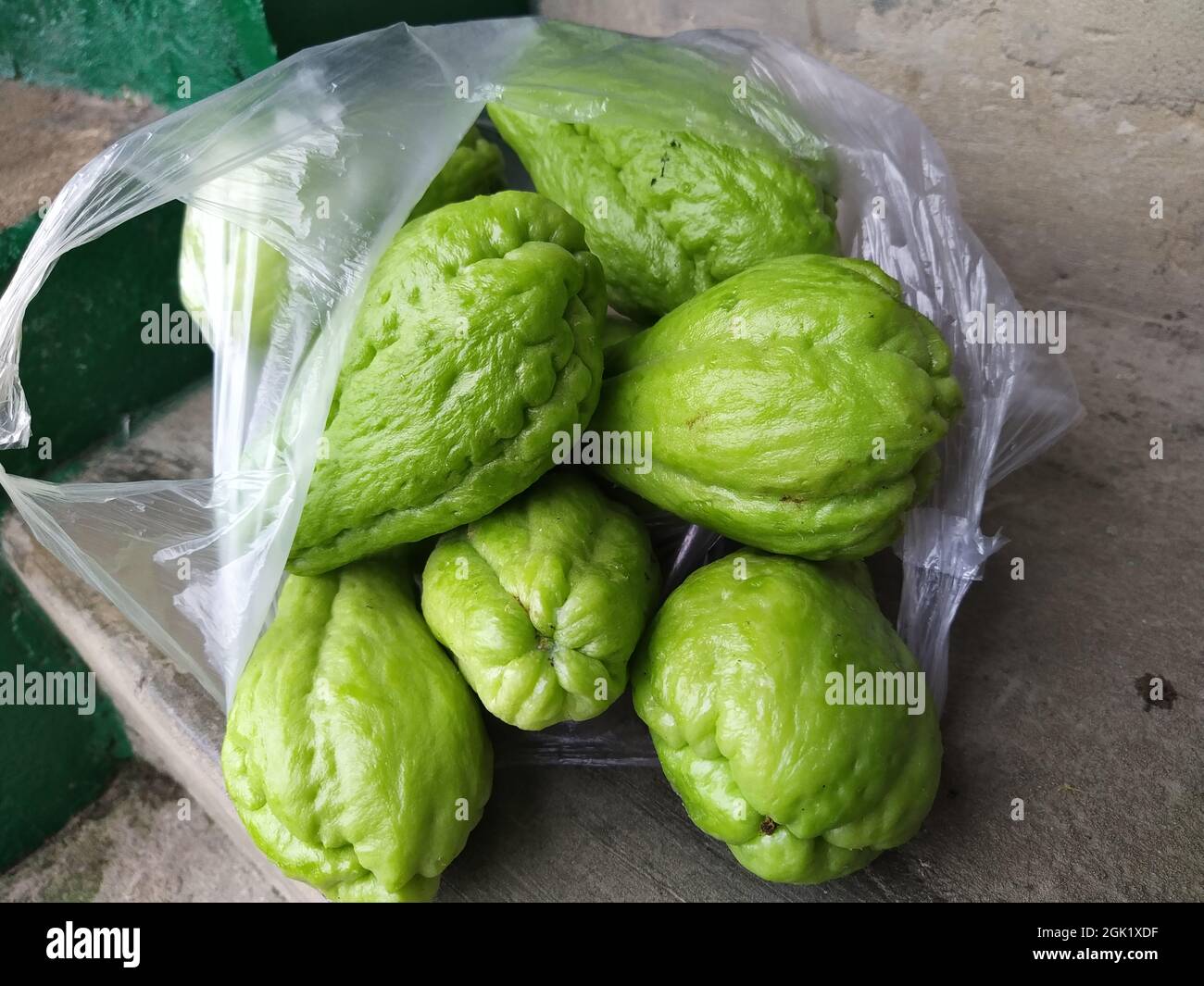 Shot of Mexican chayote plants in a transparent plastic bag on the ...