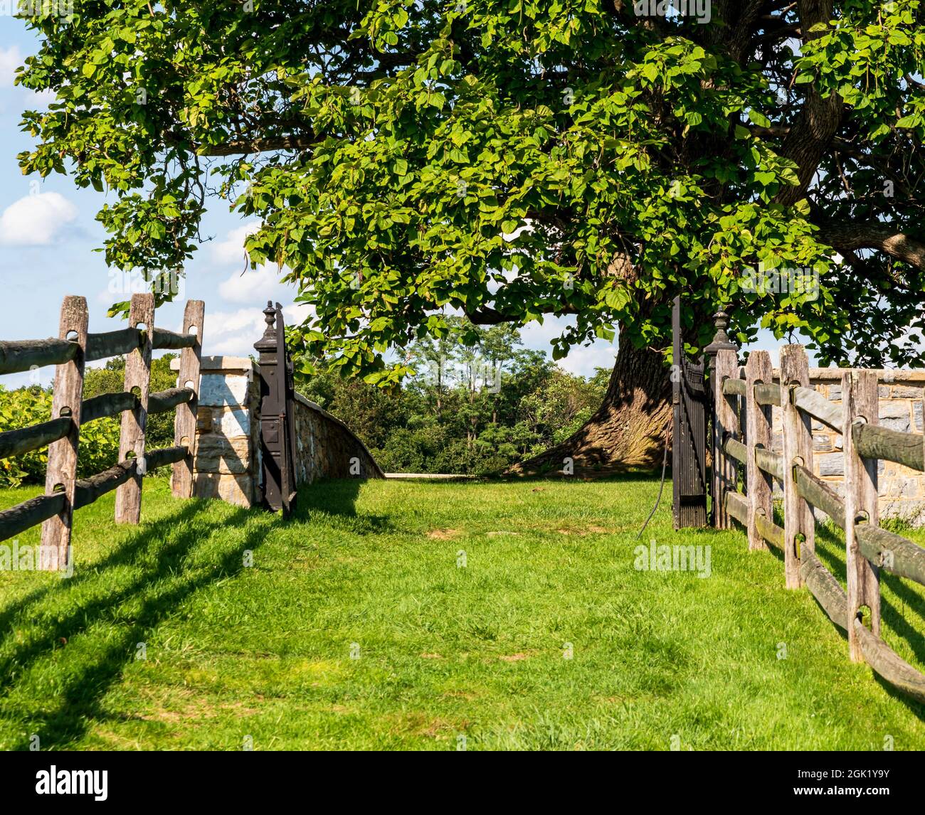 The wooden fence lined grass walkway entrance to the Mumma family ...