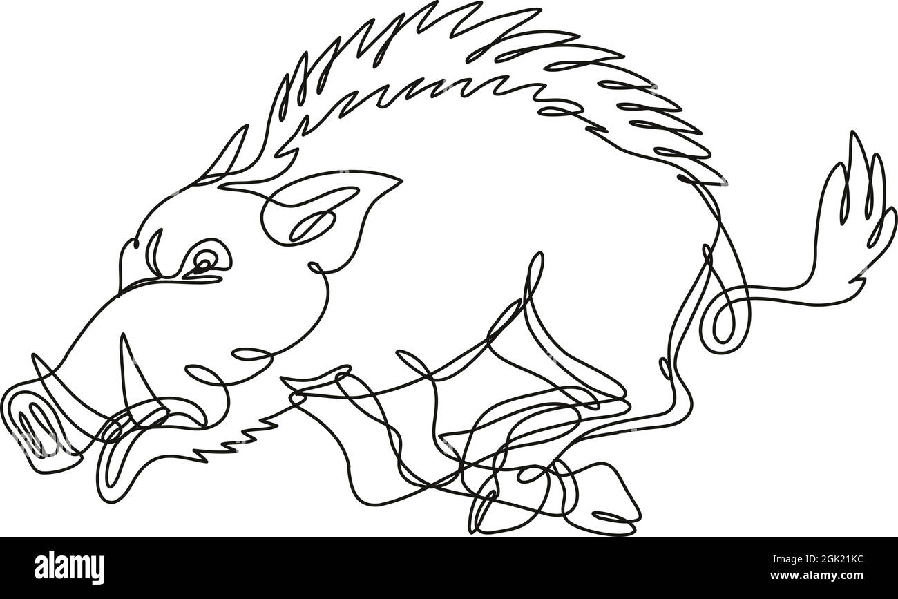 Continuous line drawing illustration of a razorback wild boar running ...