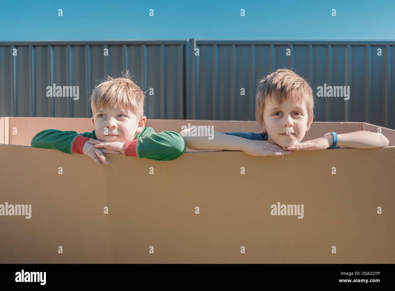 Little boys sitting inside a big carton box on the backyard Stock Photo ...