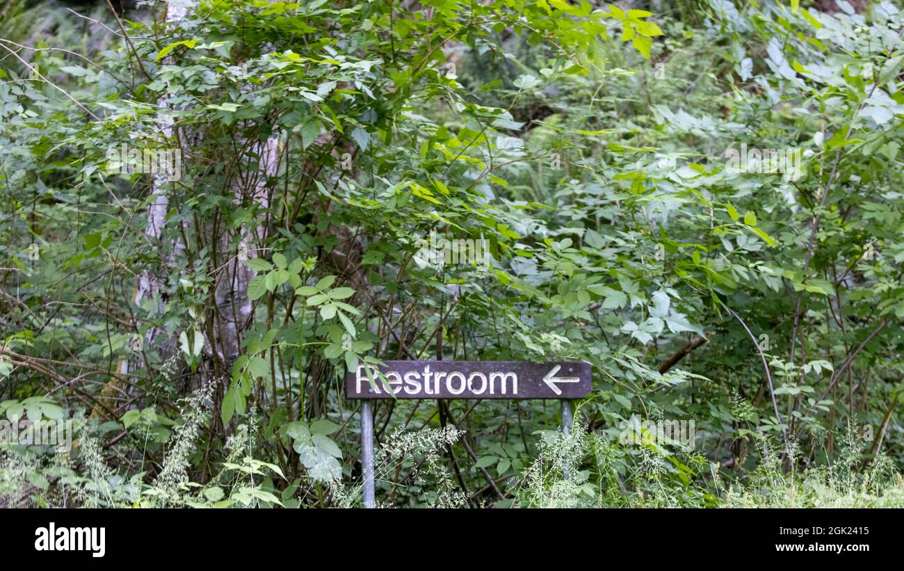 Rustic restroom sign with arrow on the edge of a forest path Stock ...
