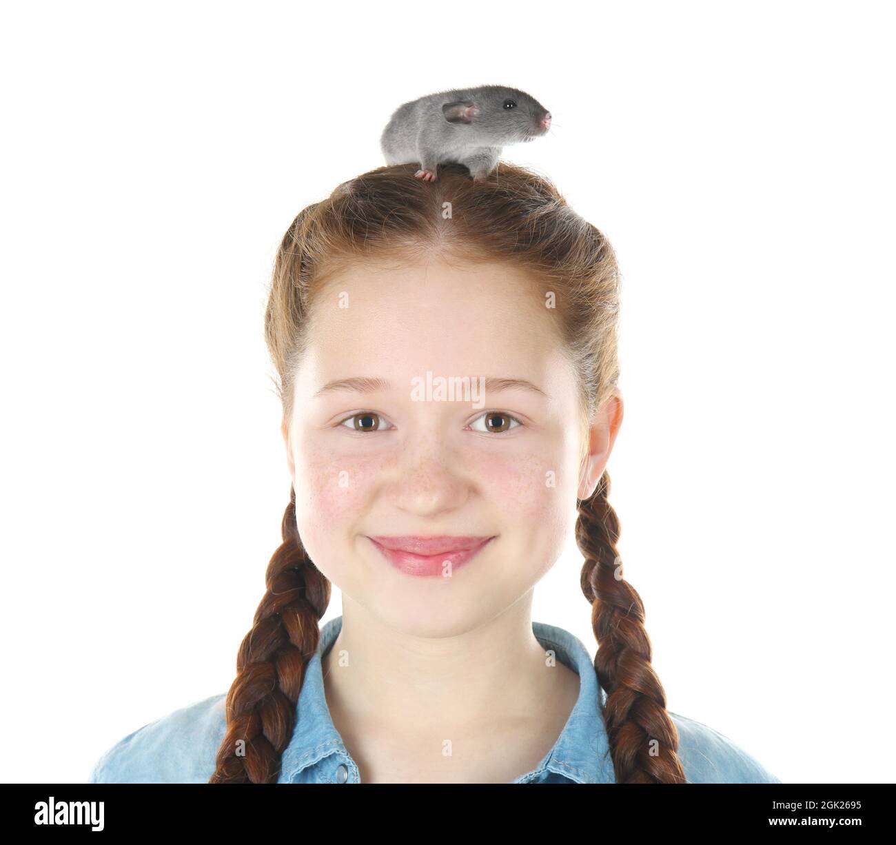 Cute girl with funny rat on white background Stock Photo - Alamy