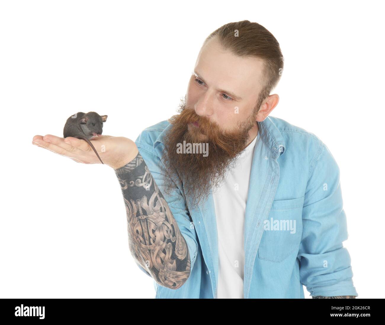Bearded man with funny rat on white background Stock Photo - Alamy