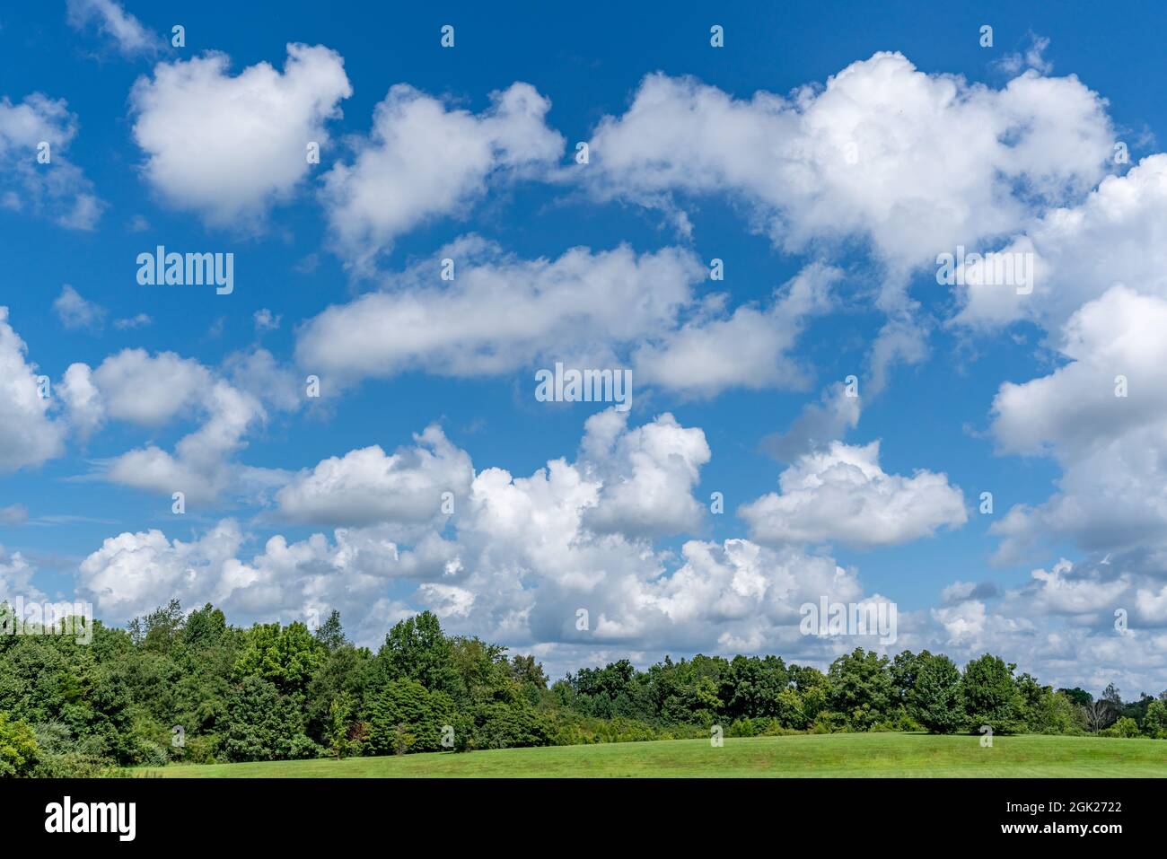 White cotton like puffy cumulus clouds against a blue sky with the suns ...