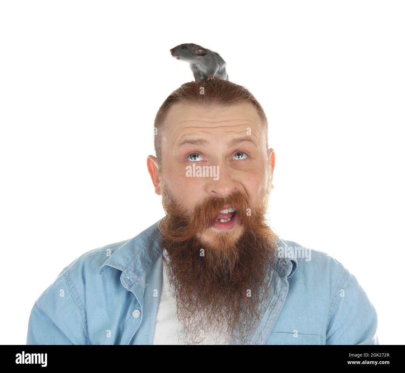 Bearded man with funny rat on white background Stock Photo - Alamy