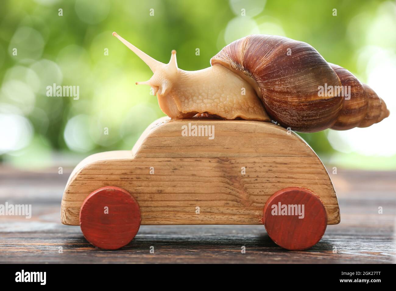 Snail on wooden car outdoors Stock Photo - Alamy