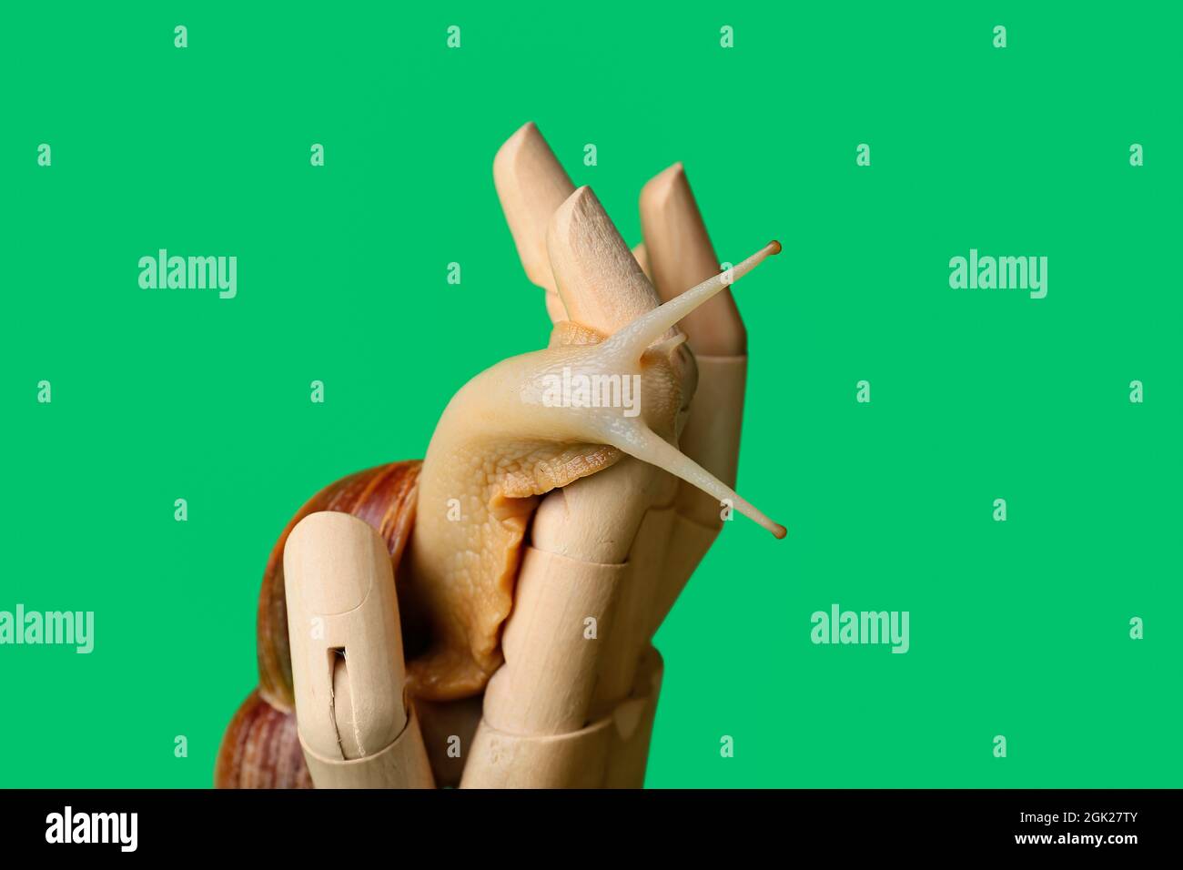 Giant wooden hand hi-res stock photography and images - Alamy