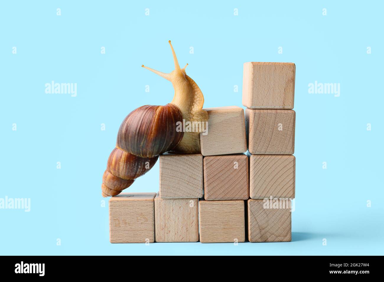Snail and wooden cubes on color background Stock Photo - Alamy
