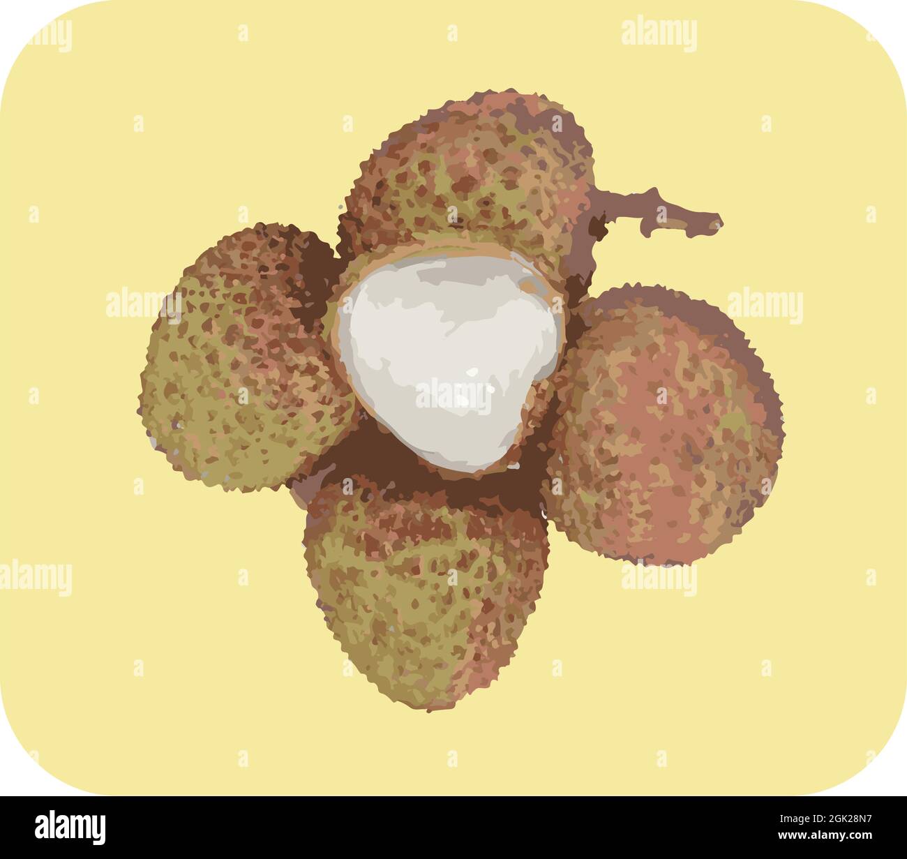 delicious litchi vector Stock Vector Image & Art - Alamy