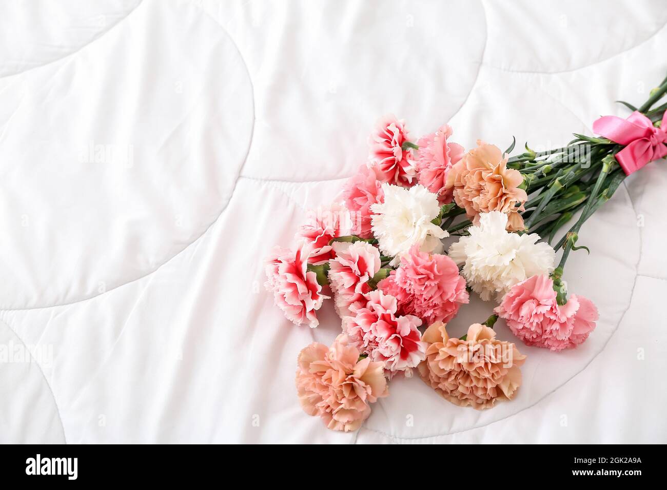 Carnations on the flower bed hi-res stock photography and images - Alamy