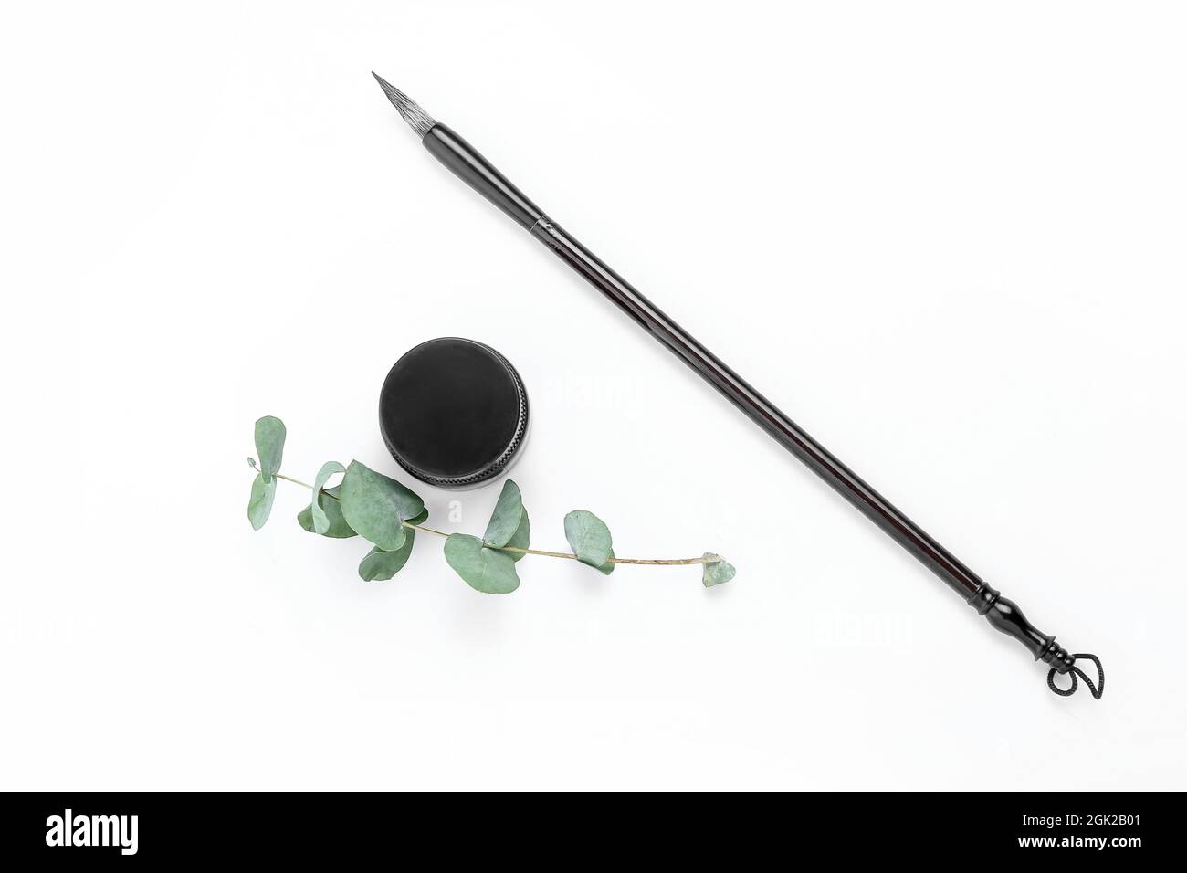 Calligraphic brush with ink and plant branch on white background Stock ...