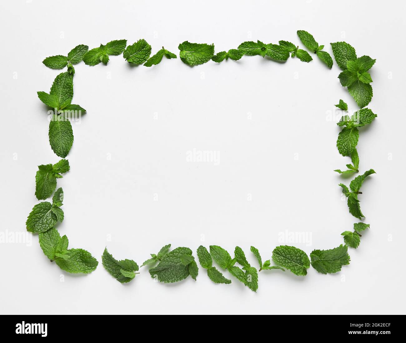 Frame made of green mint leaves on white background Stock Photo - Alamy