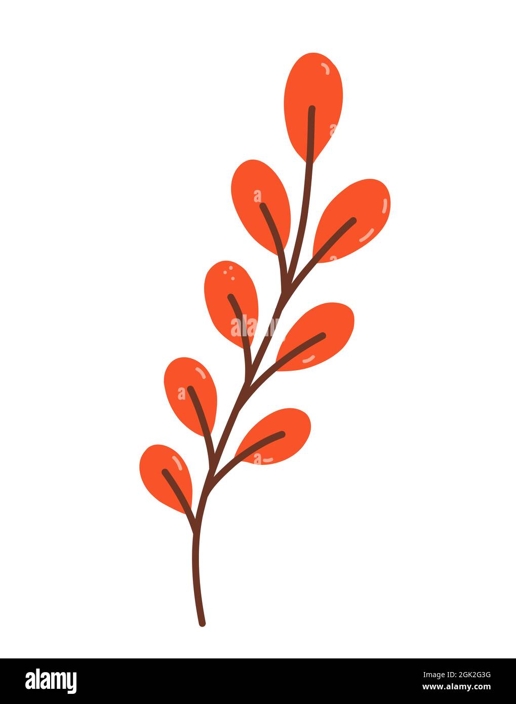 Twig with orange leaves isolated on white background. Vector hand-drawn ...