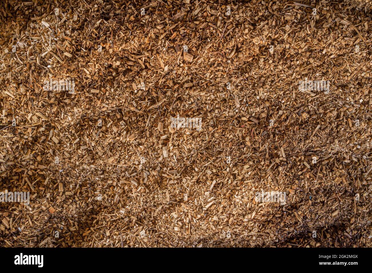 Forest residues mulched as wood chips used for heating. Pile of wood ...