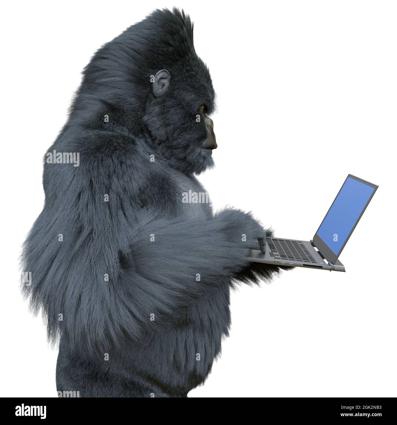 Black silver gorilla with laptop concept 3d illustration isolated on ...