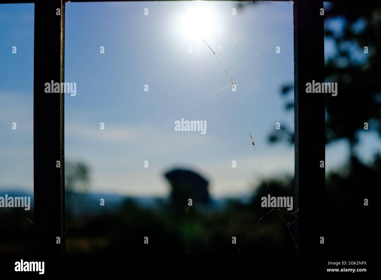 Spider web detail hi-res stock photography and images - Alamy