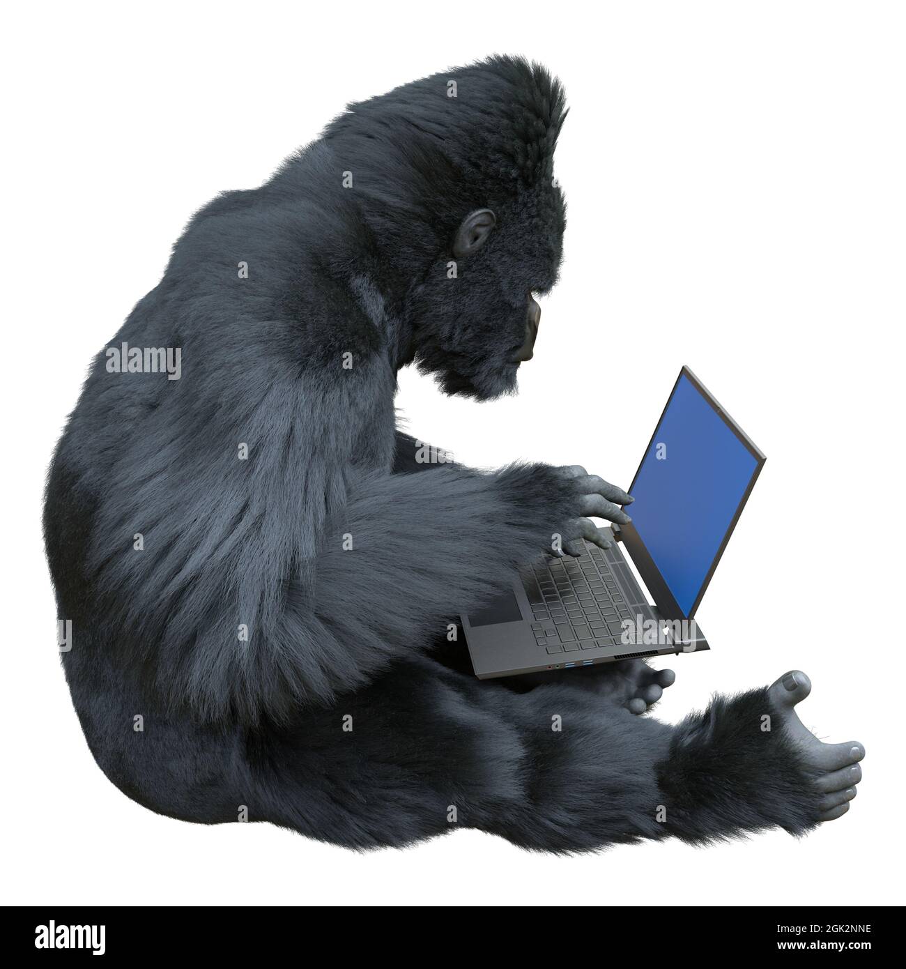 Black silver gorilla with laptop concept 3d illustration isolated on ...