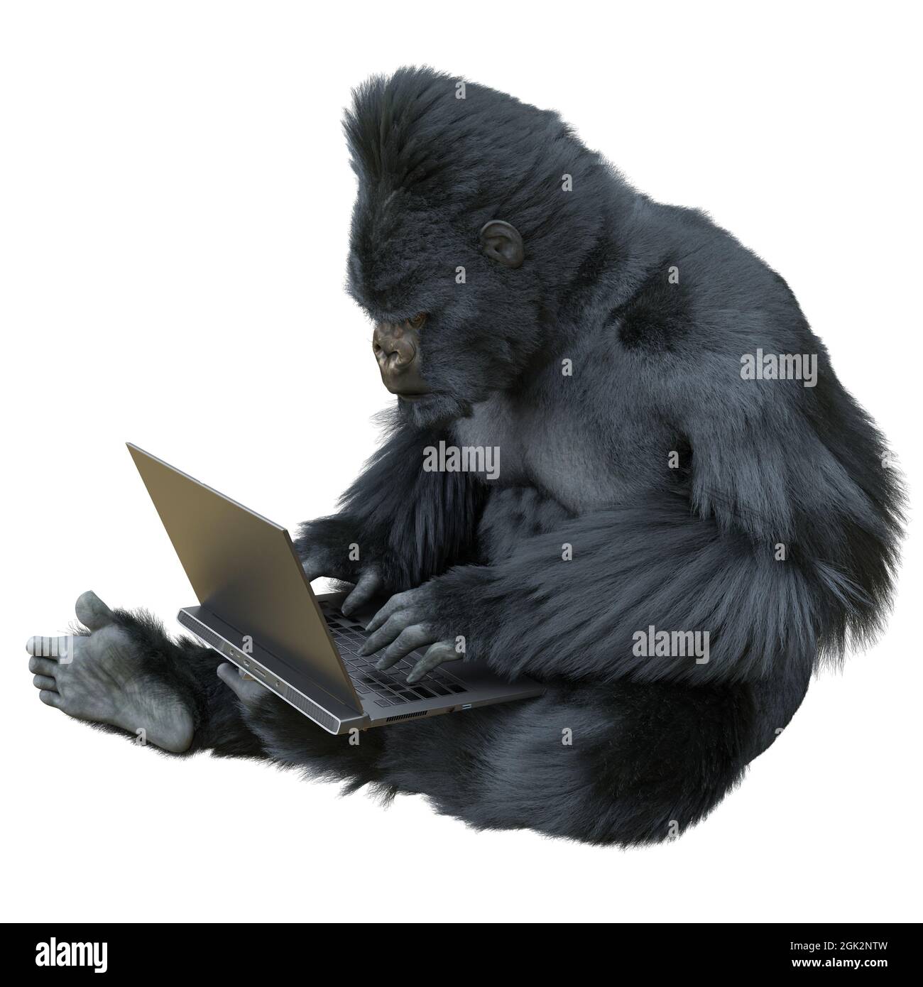 Black silver gorilla with laptop concept 3d illustration isolated on ...
