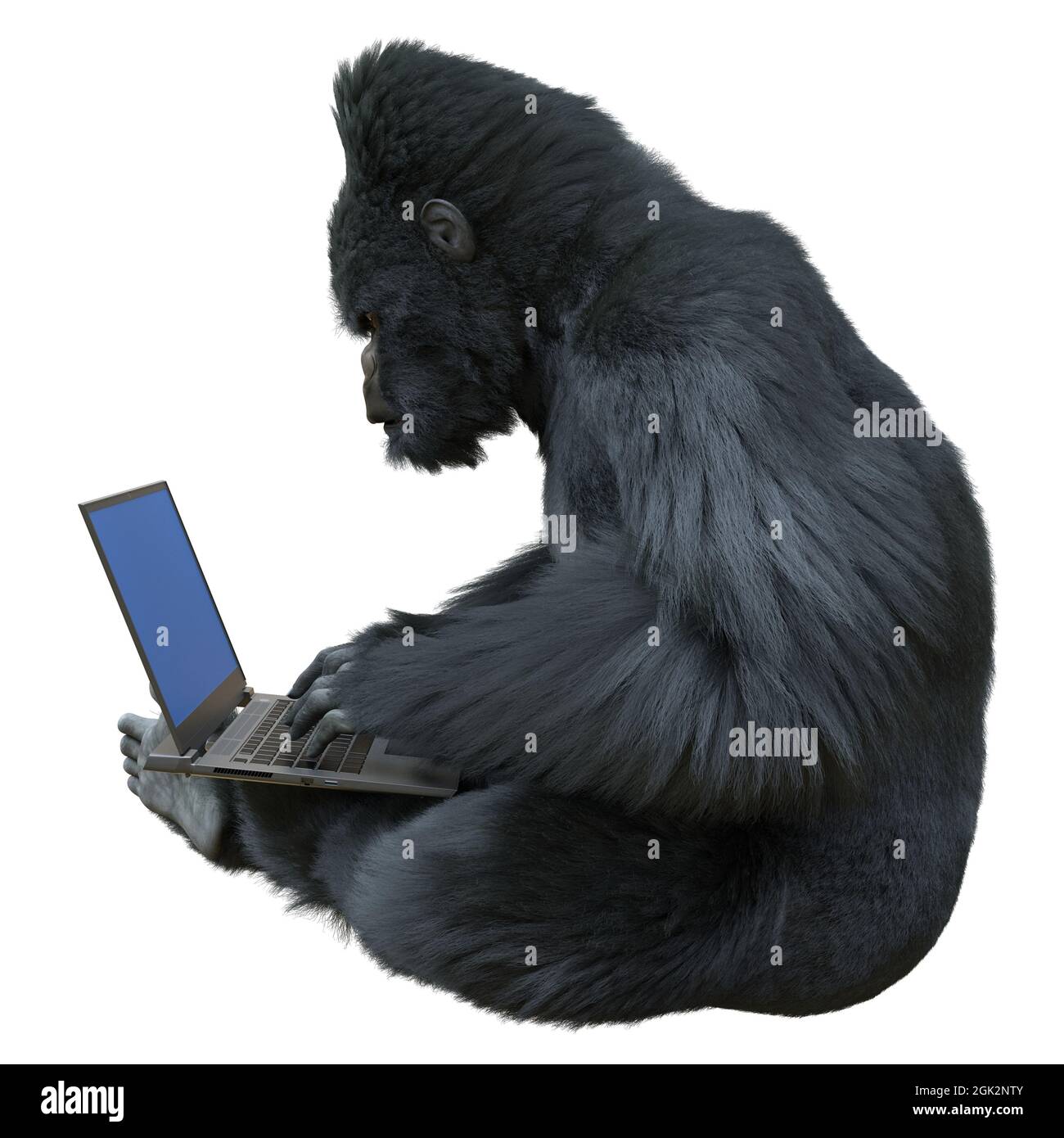 Black silver gorilla with laptop concept 3d illustration isolated on ...