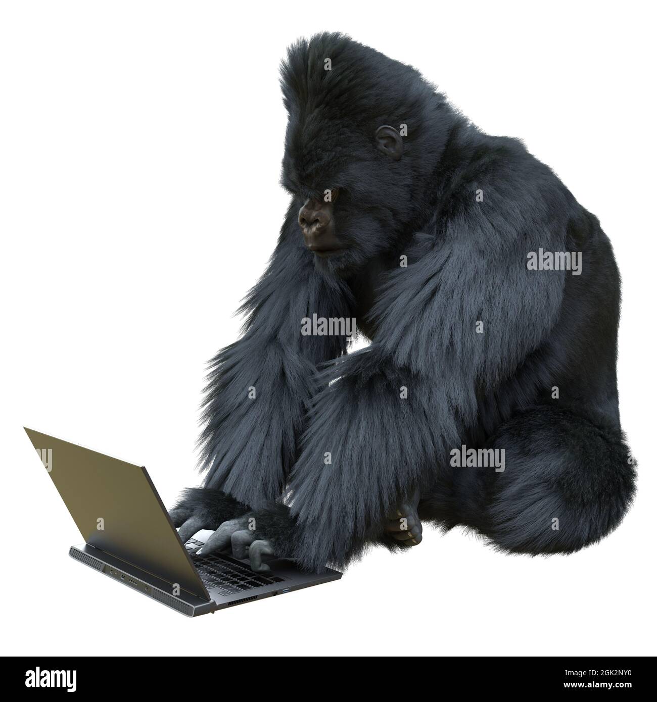 Black silver gorilla with laptop concept 3d illustration isolated on ...