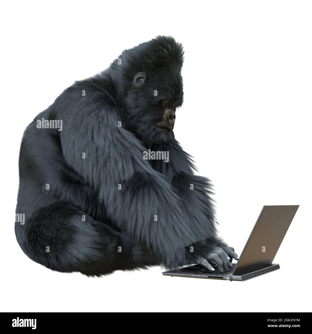 Black silver gorilla with laptop concept 3d illustration isolated on ...