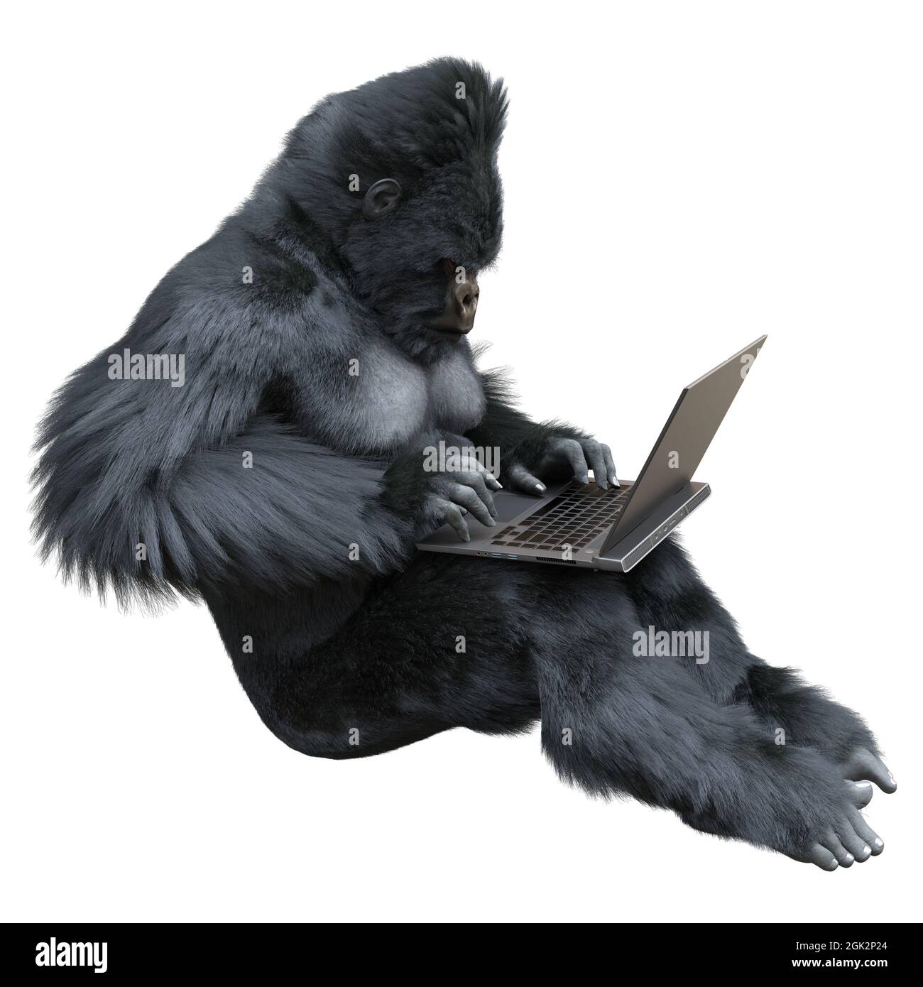Black silver gorilla with laptop concept 3d illustration isolated on ...