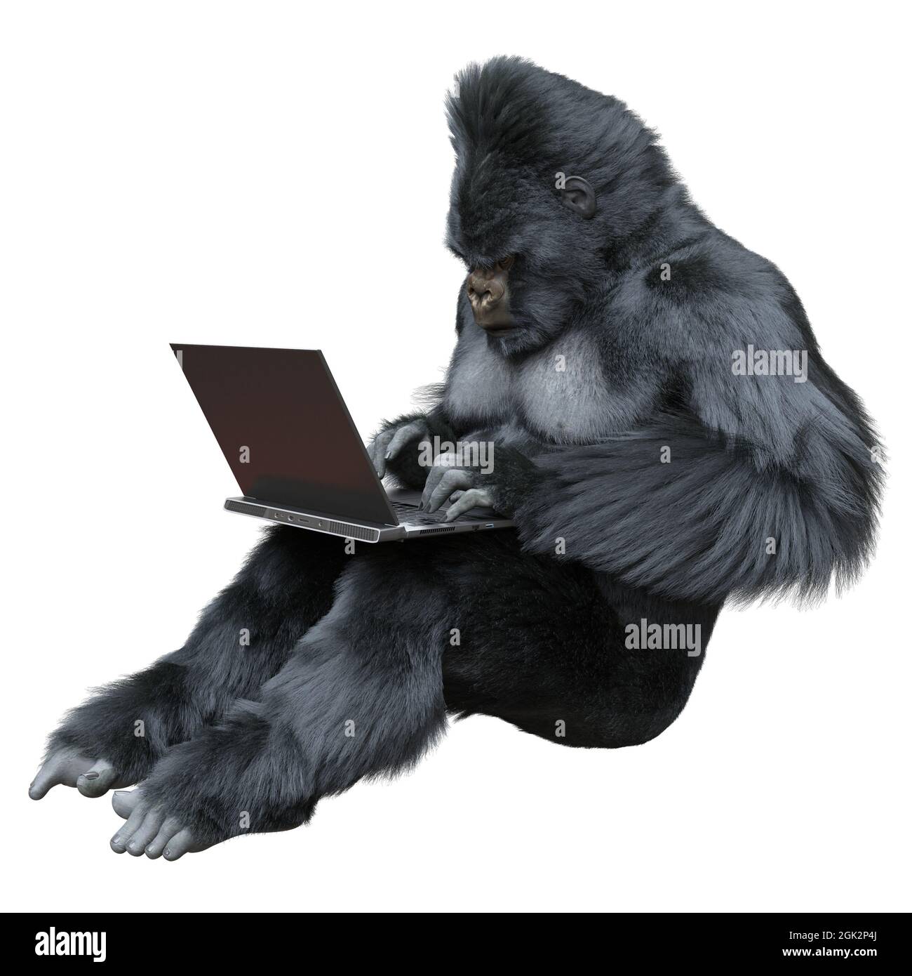 Black silver gorilla with laptop concept 3d illustration isolated on ...