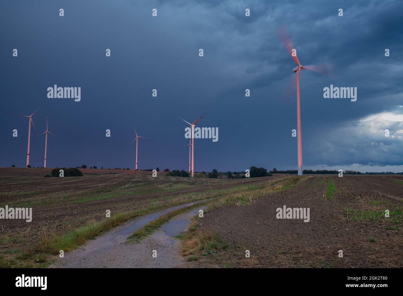 Wind turbines during the evening storm Stock Photo - Alamy