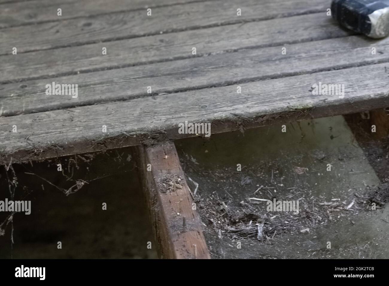 spider webs, dirt, and pine needles dangling off porch floor boards and ...